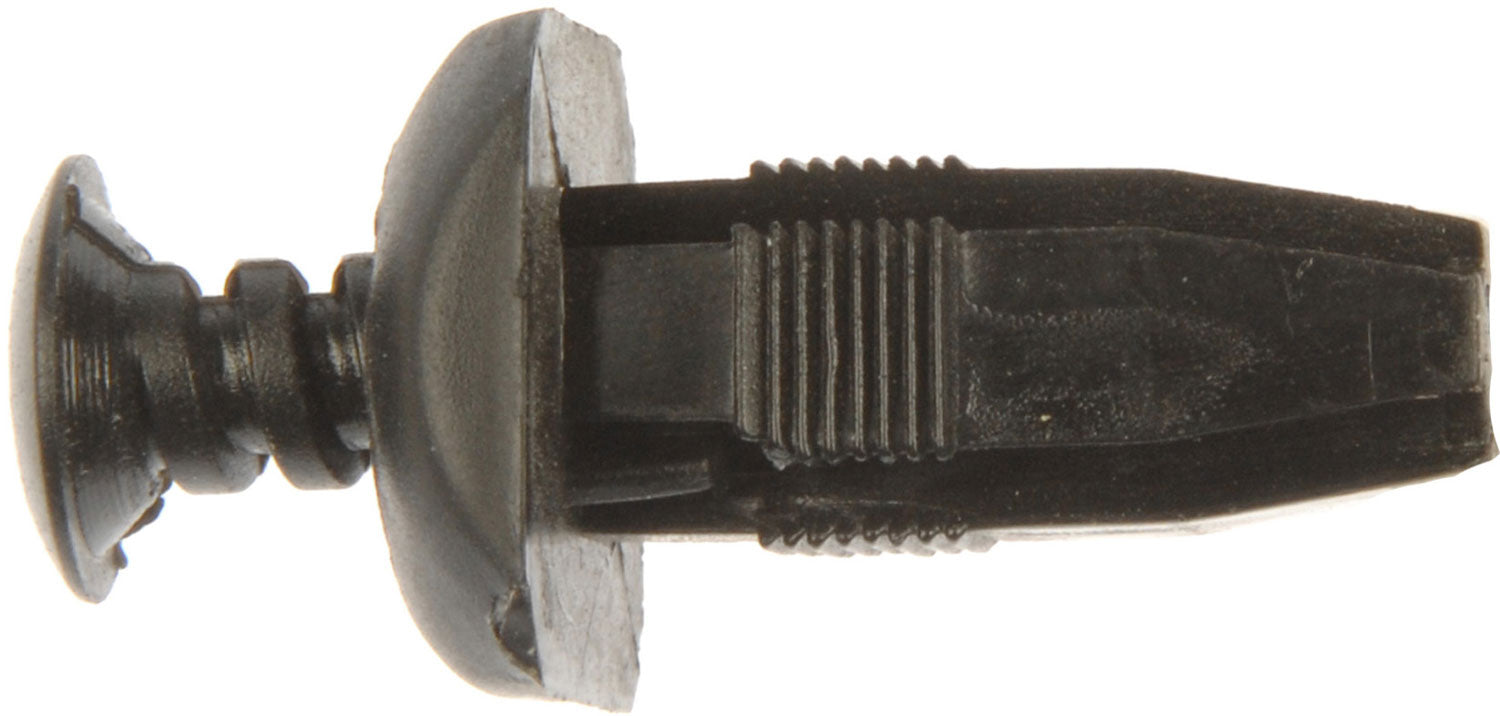1/4" Screw Rivet (Dorman #700-585) – Parts Highway | Auto Parts Online